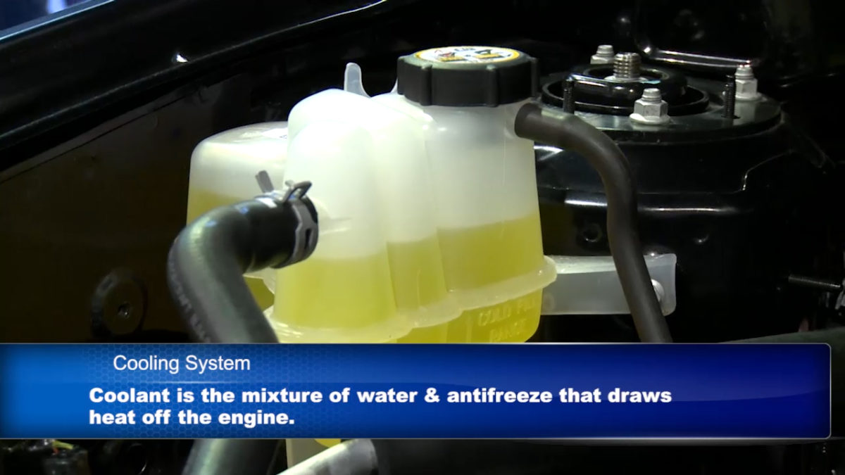 Cooling System Service - Precision NAPA Autopro